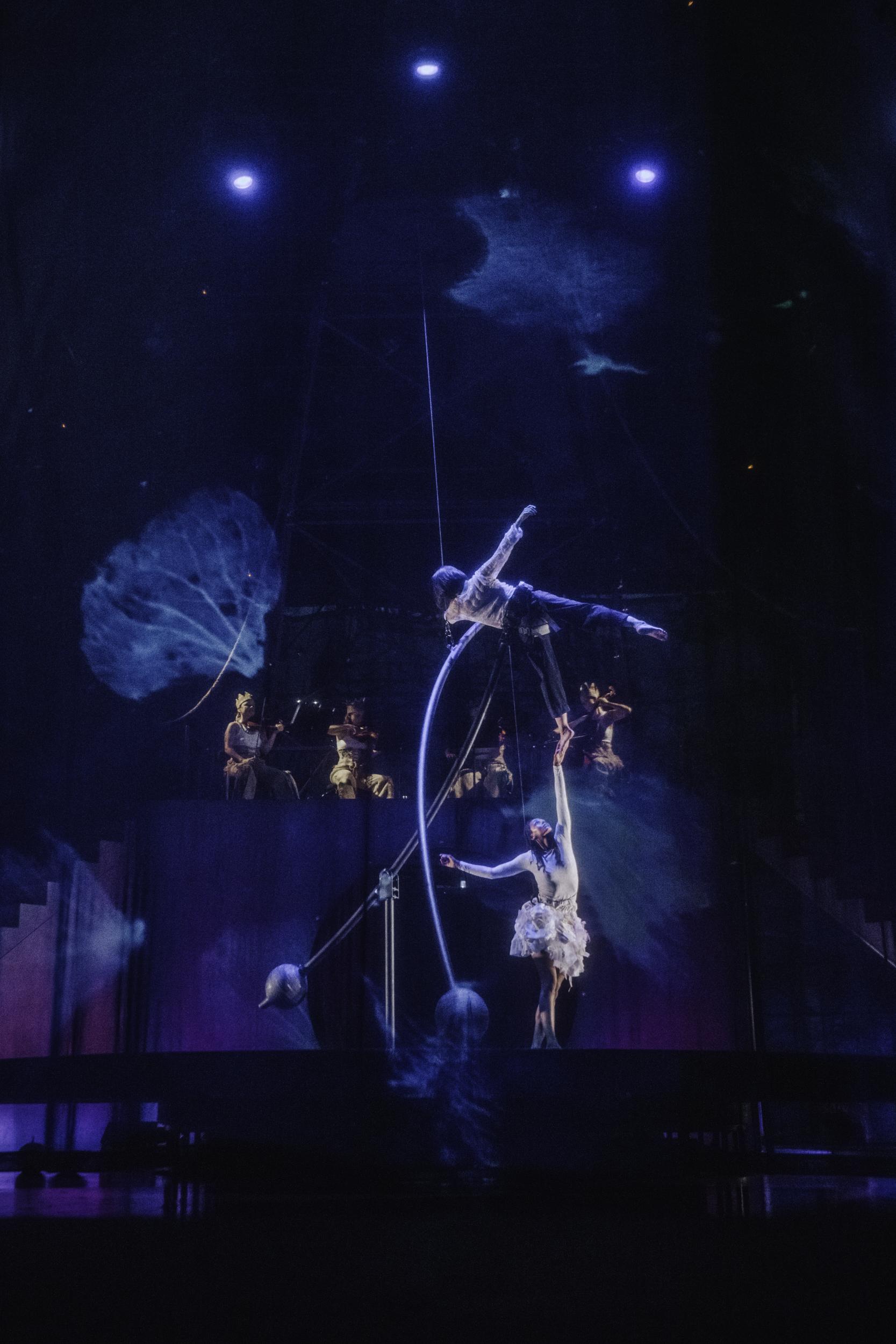 LE PETIT CIRQUE | Odyssud